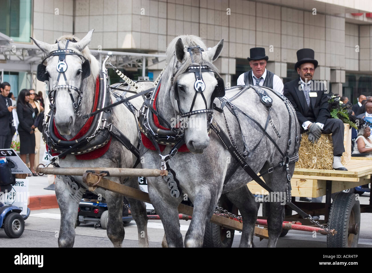 Symbolic Funeral to Bury the N Word Stock Photo - Alamy