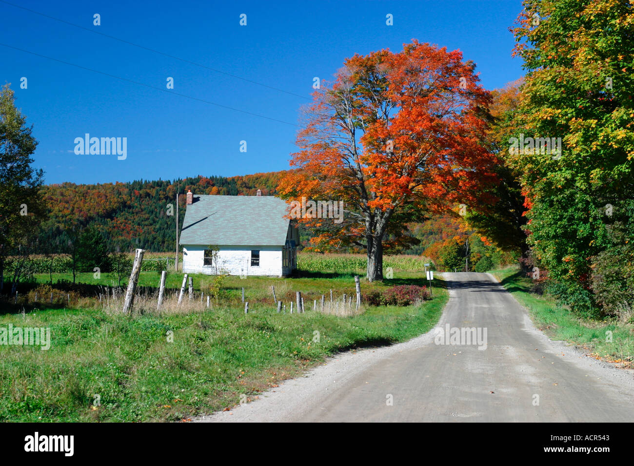 Country Road Cabot Vermont Stock Photo - Alamy