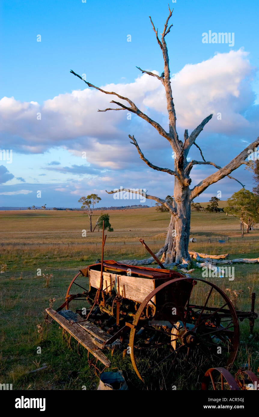 an old farm plow and dead tree in the farm paddock Stock Photo - Alamy