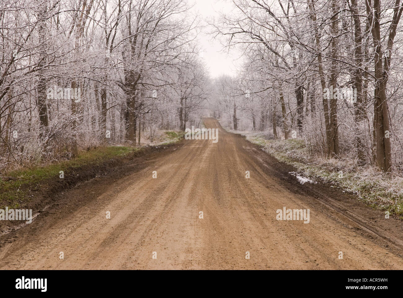 Dirt road in rural Michigan USA Stock Photo - Alamy