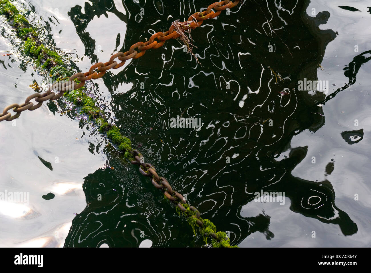 Algae covered hi-res stock photography and images - Alamy