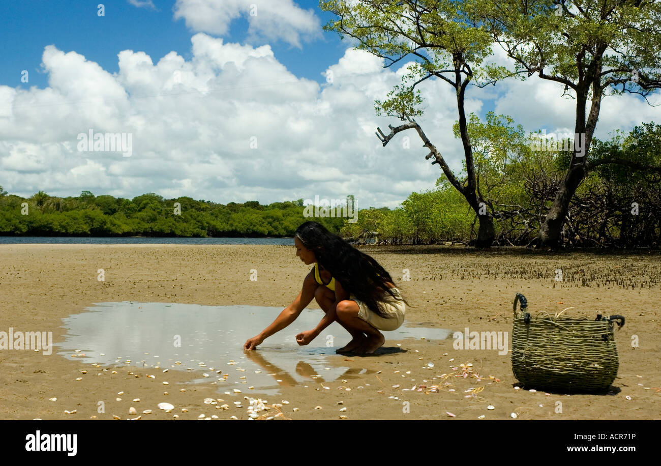 Collecting sea-shells, Barra dos Carvalhos, Bahia, Brazil Stock Photo ...