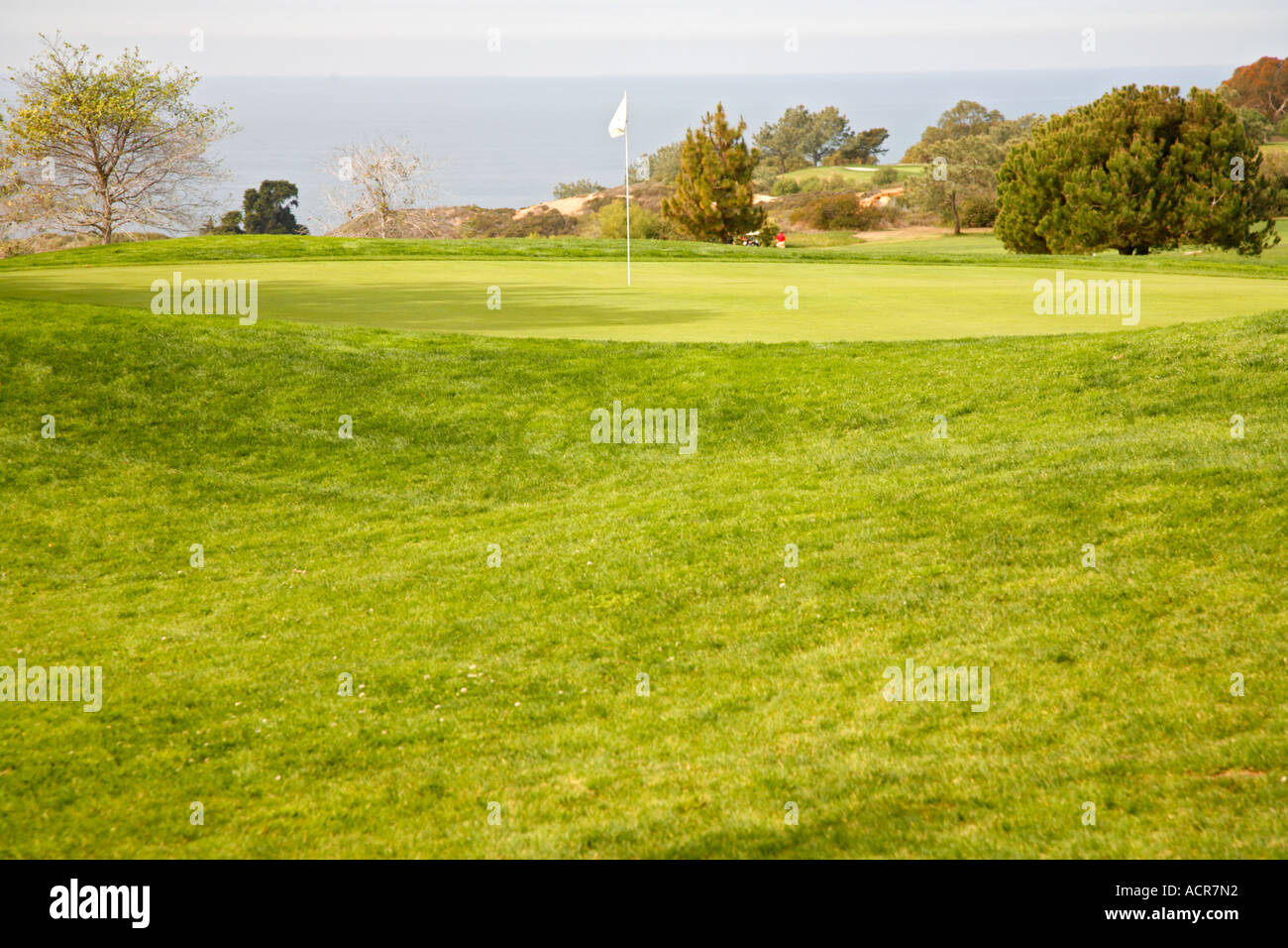 The Torrey Pines Golf Course San Diego California Stock Photo - Alamy
