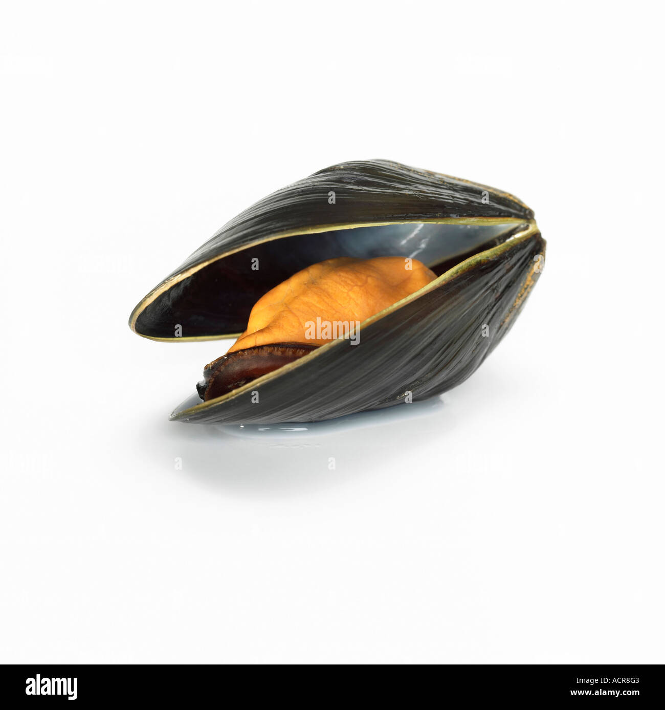 Opend up hi-res stock photography and images - Alamy