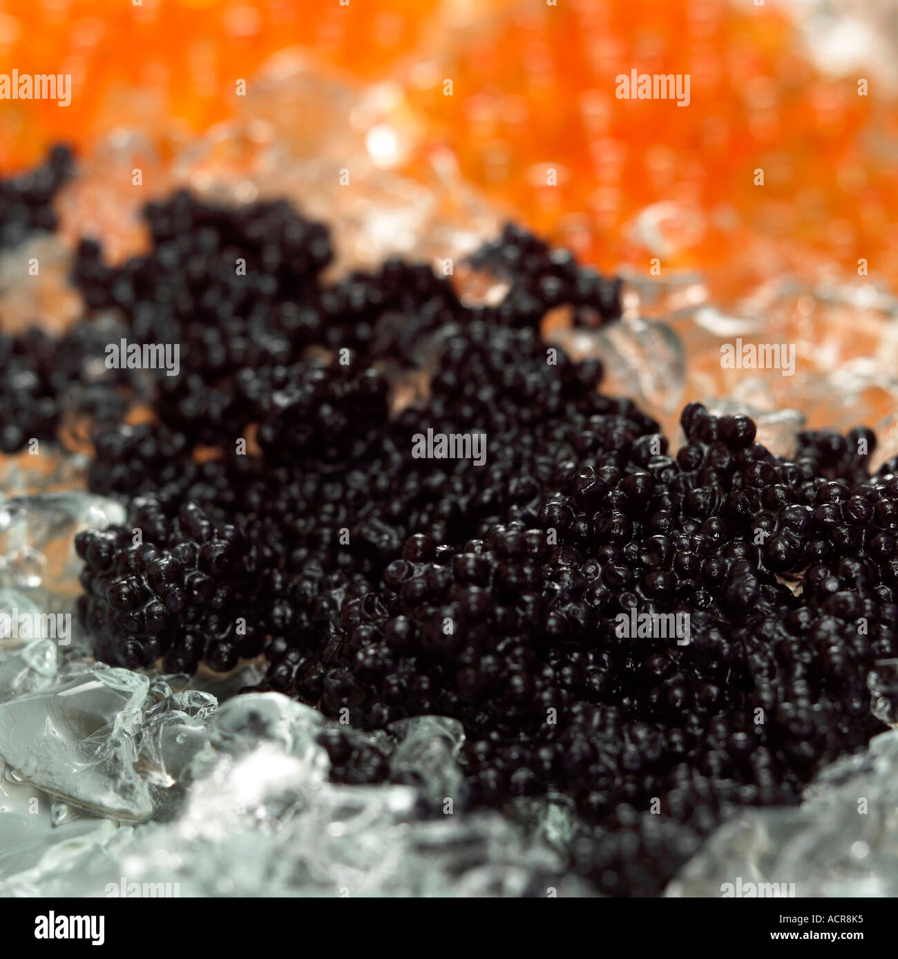 Red and black caviar on crushed ice, close-up Stock Photo - Alamy