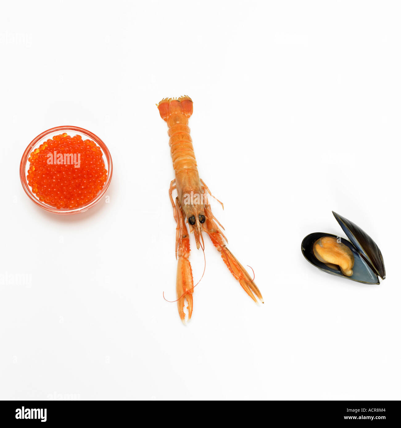 Prawn, mussel and bowl of red caviar, elevated view Stock Photo - Alamy