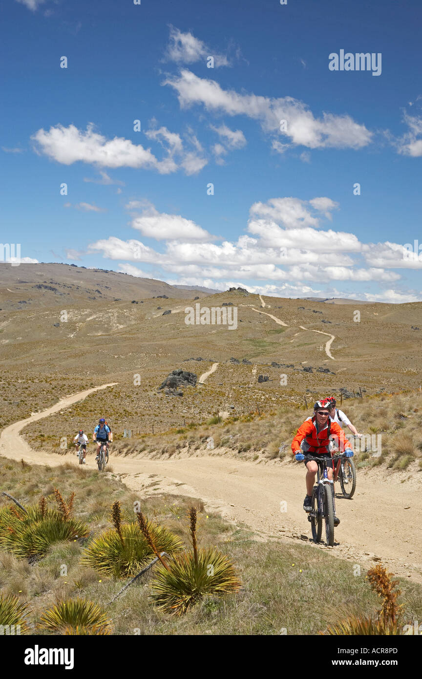 Mountain Bikers Carrick Track Carrick Range Central Otago South Island ...