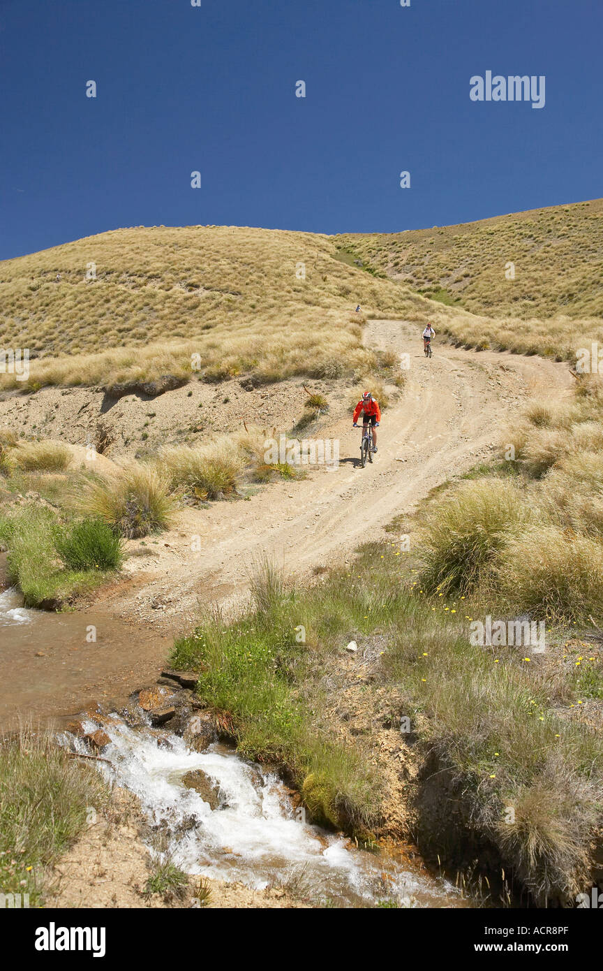 Mountain Bikers Carrick Track Carrick Range Central Otago South Island ...