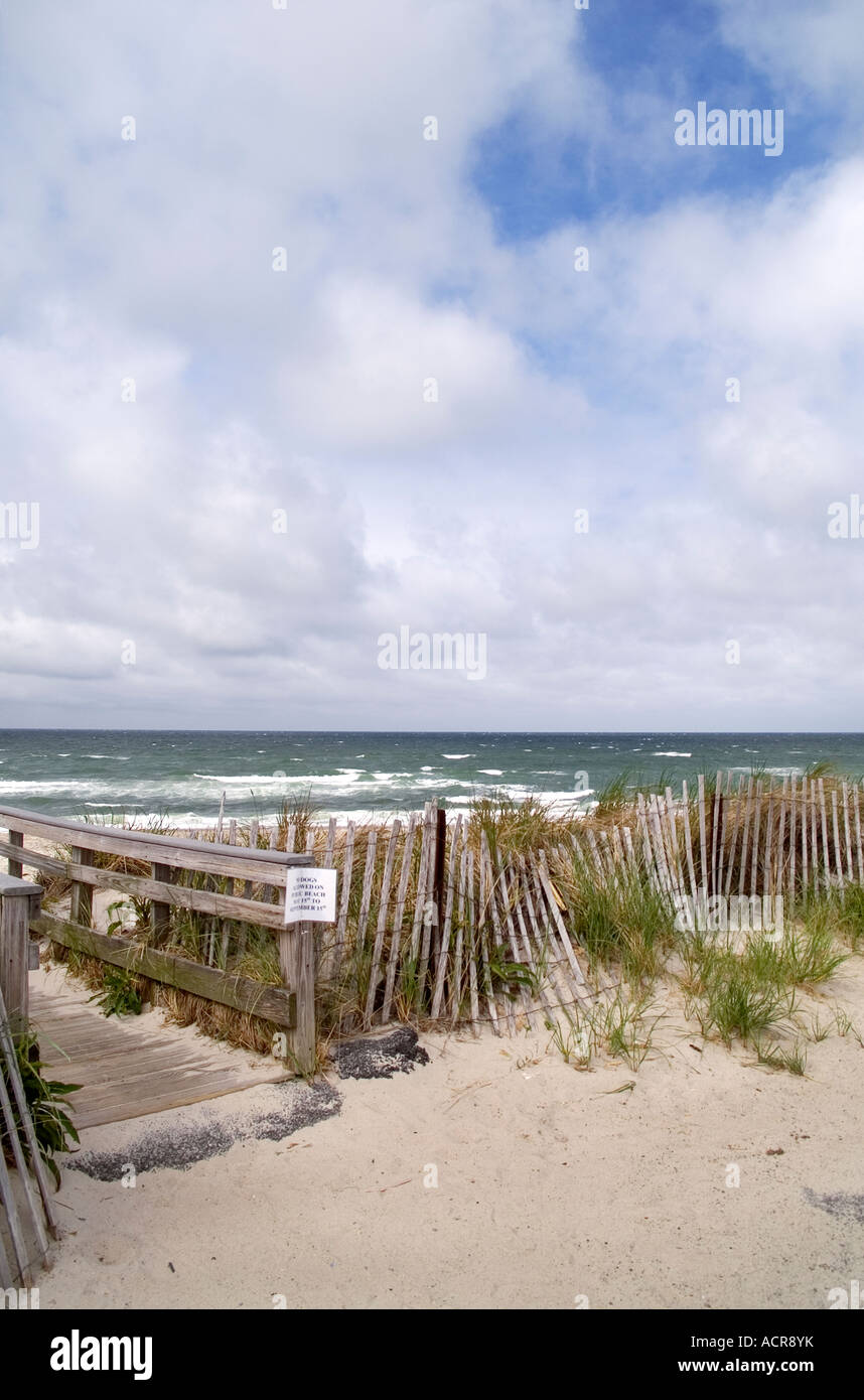 Beach Sandy Neck Cape Cod, USA Stock Photo - Alamy
