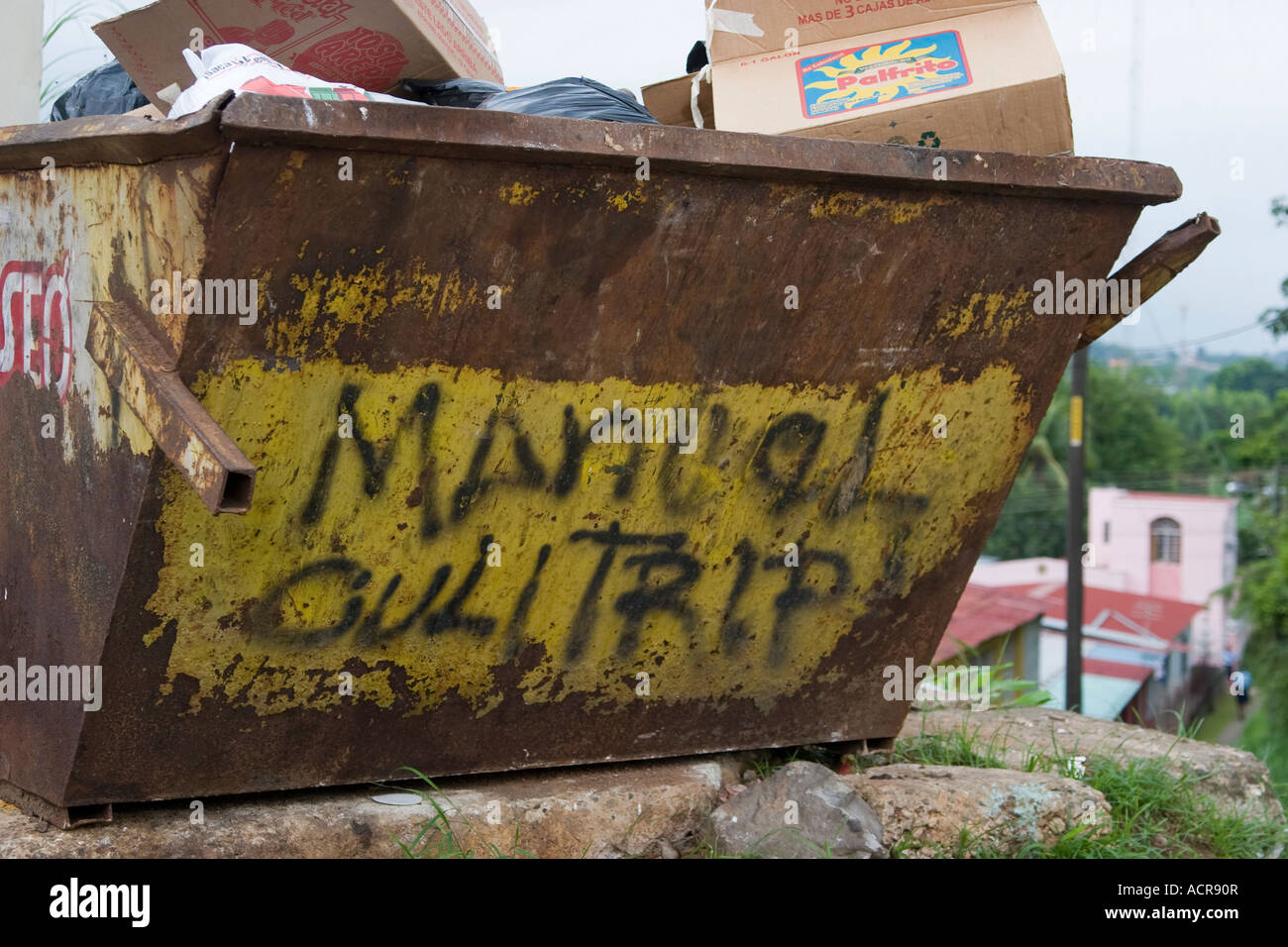 Large Garbage Bin with graffiti Stock Photo - Alamy