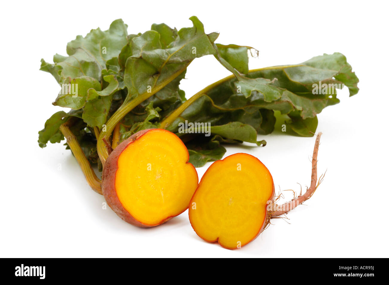 Golden Beetroot cut open Stock Photo - Alamy