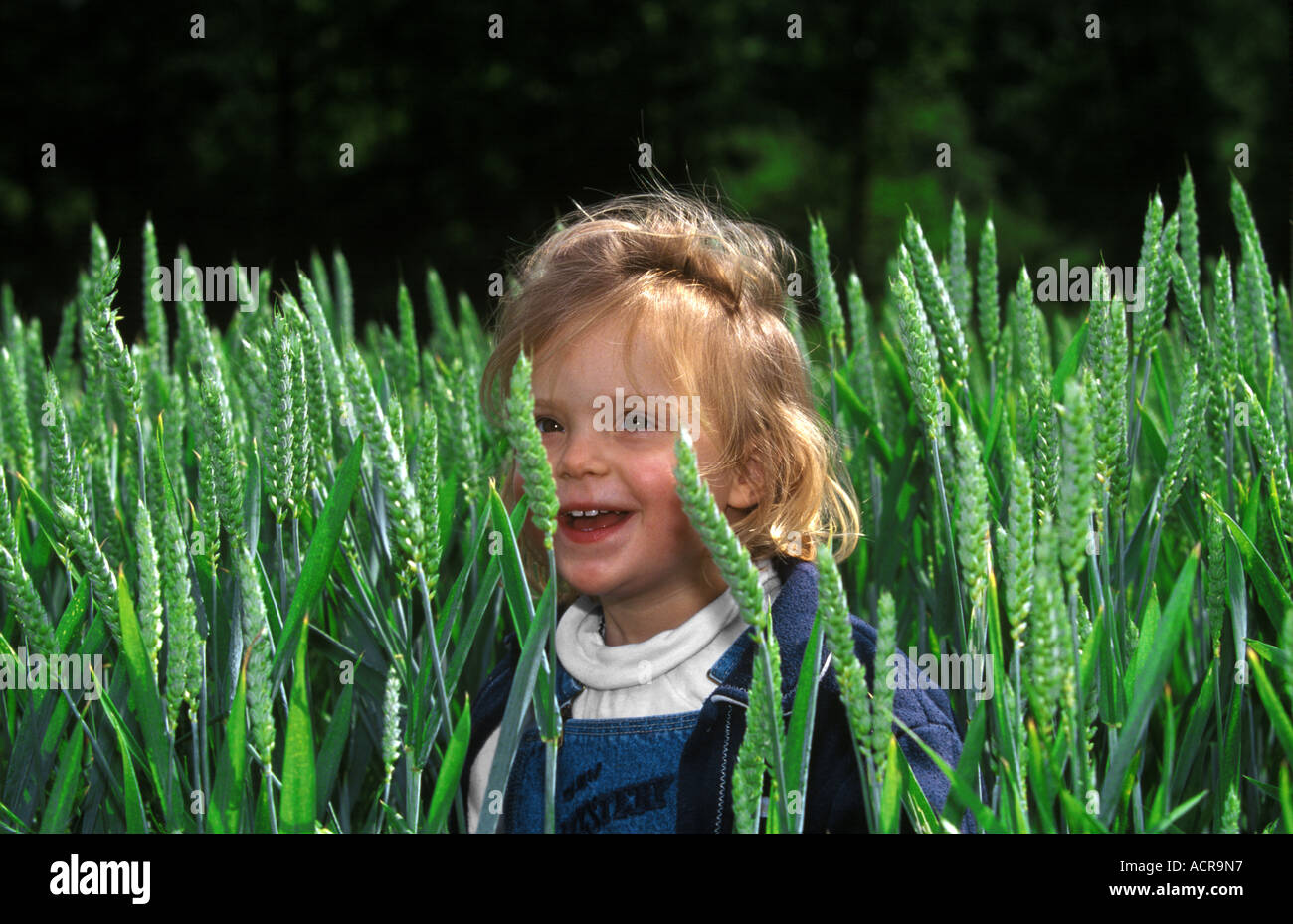 Children of the corn fields hi-res stock photography and images - Alamy