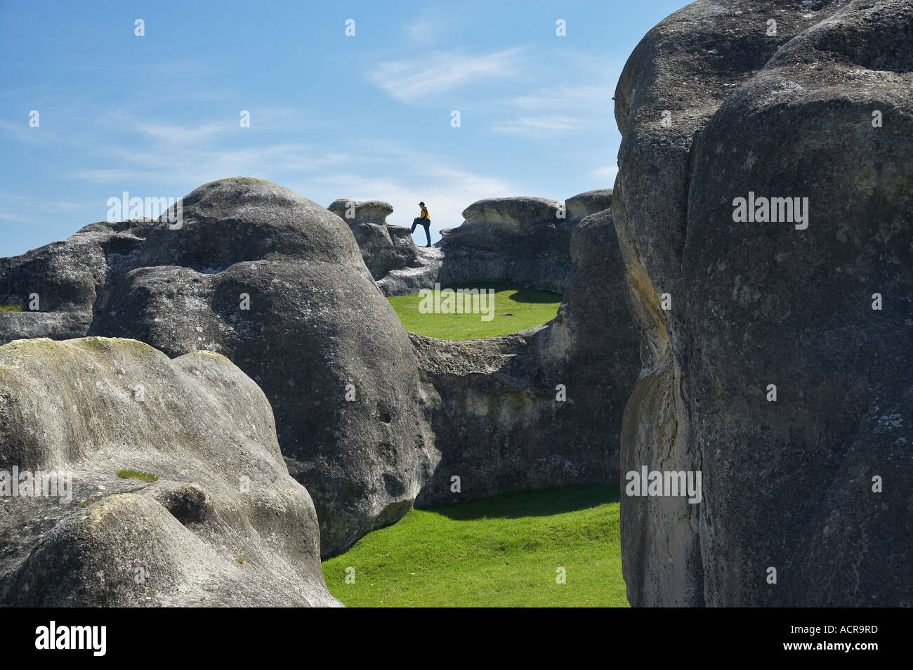 Waitaki elephant rocks hi-res stock photography and images - Alamy