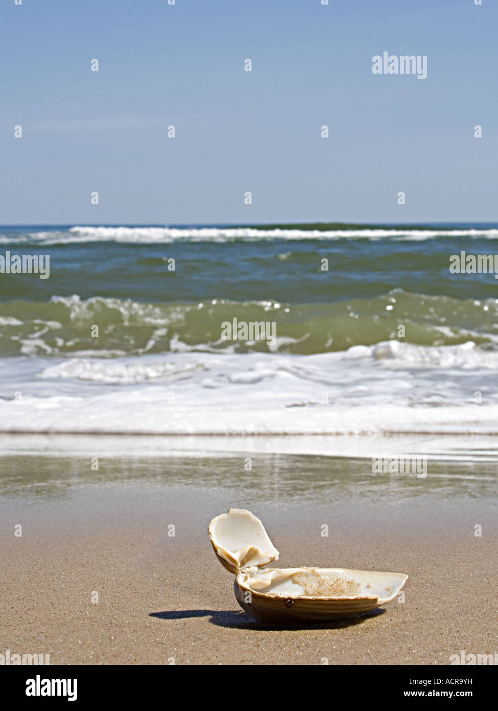 By the sea Stock Photo - Alamy