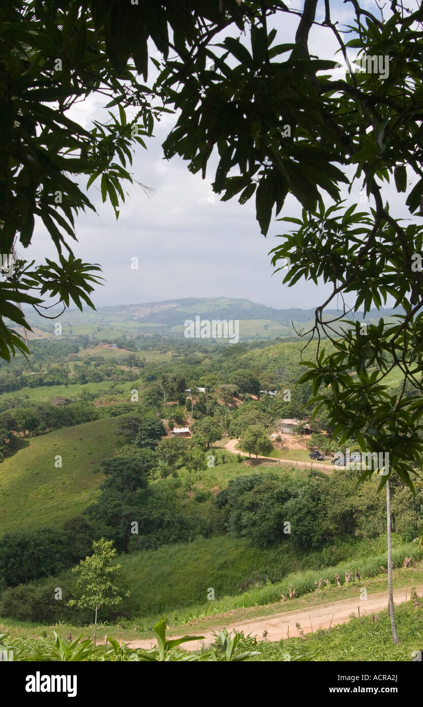 Capira country side framed by a mango tree. Republic of Panama, Central ...