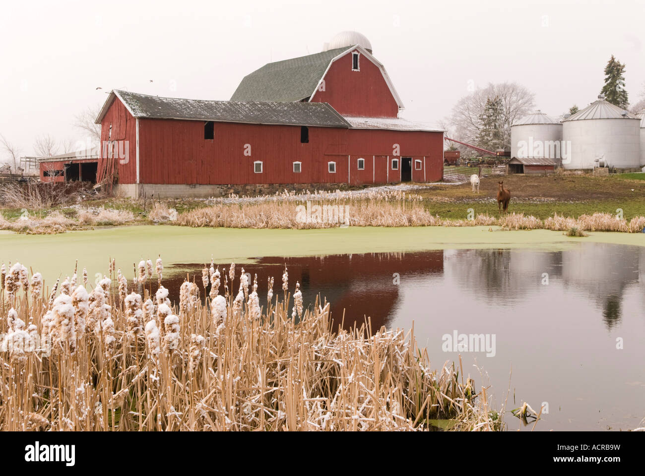 Barn in the winter, rural Michigan, USA Stock Photo - Alamy