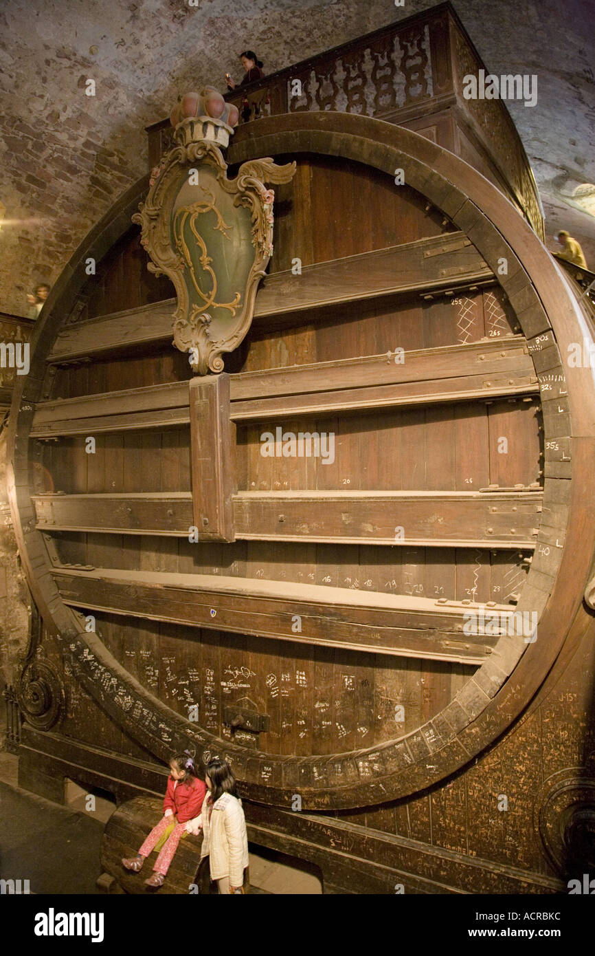 Schloss (Castle) and Grosses Fass (great Vat), Heidelberg, Germany ...
