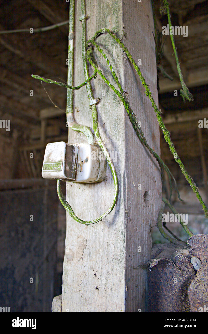 Old disused plug fitting with redundant wiring Stock Photo - Alamy