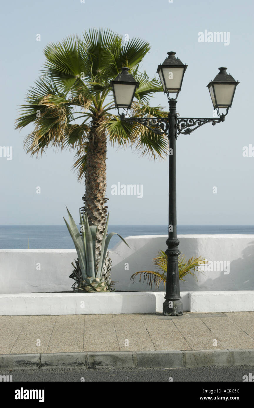 tree and lamp post Stock Photo - Alamy