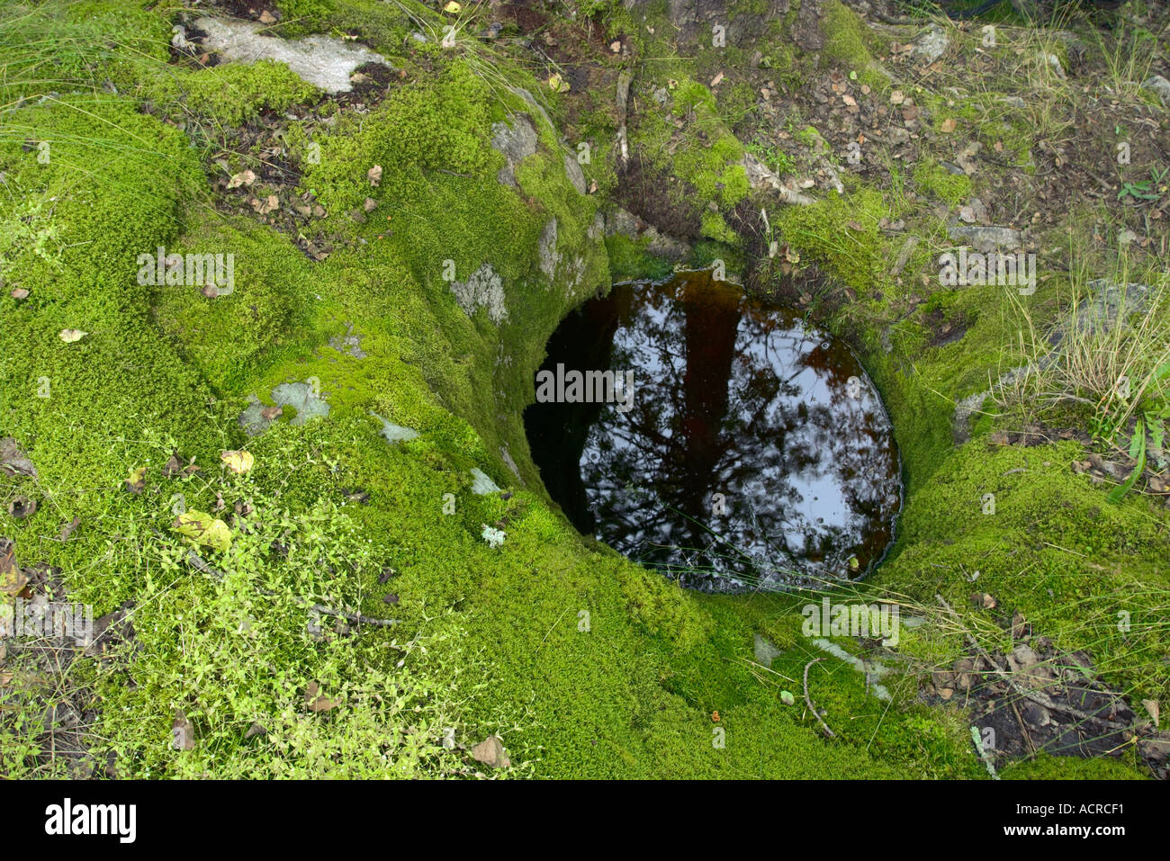 A geological feature called the pothole near the Nuuksio National Park ...