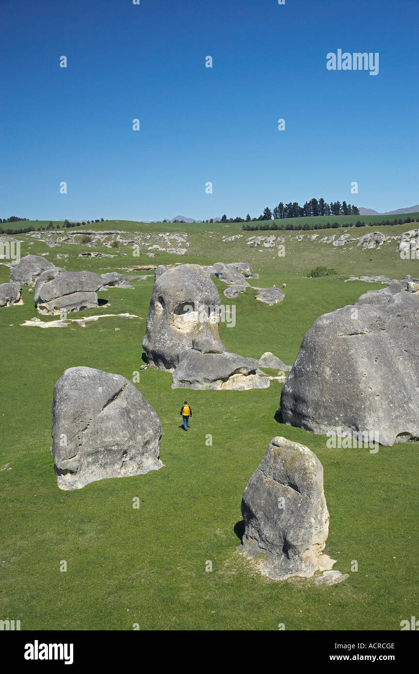 Waitaki elephant rocks hi-res stock photography and images - Alamy