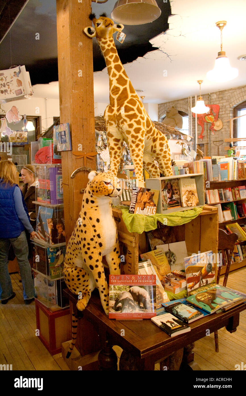 Stuffed giraffe and leopard in the animal kingdom book display. Wild ...