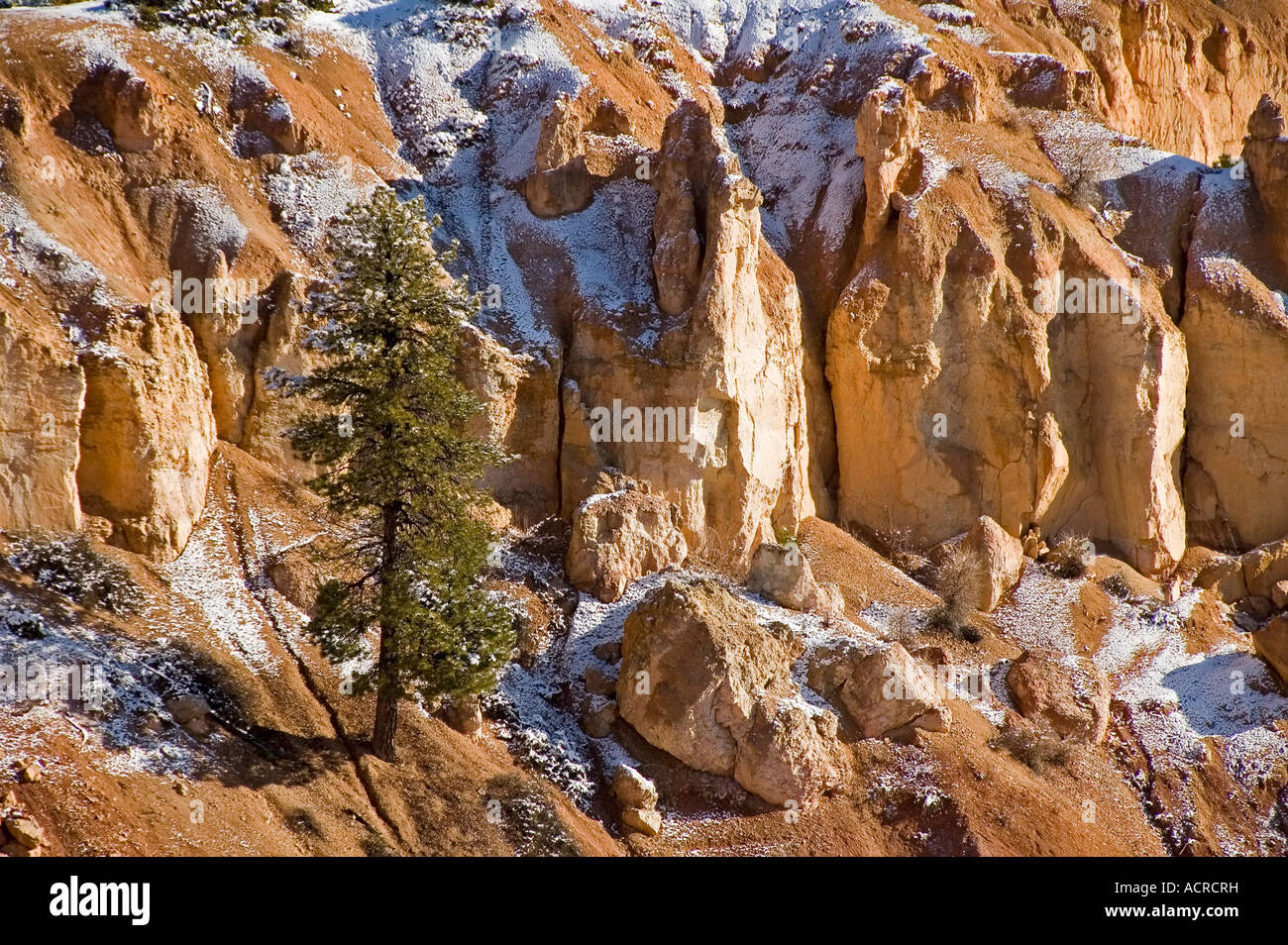 A picture illustrating some of the many of the features of Bryce Canyon ...