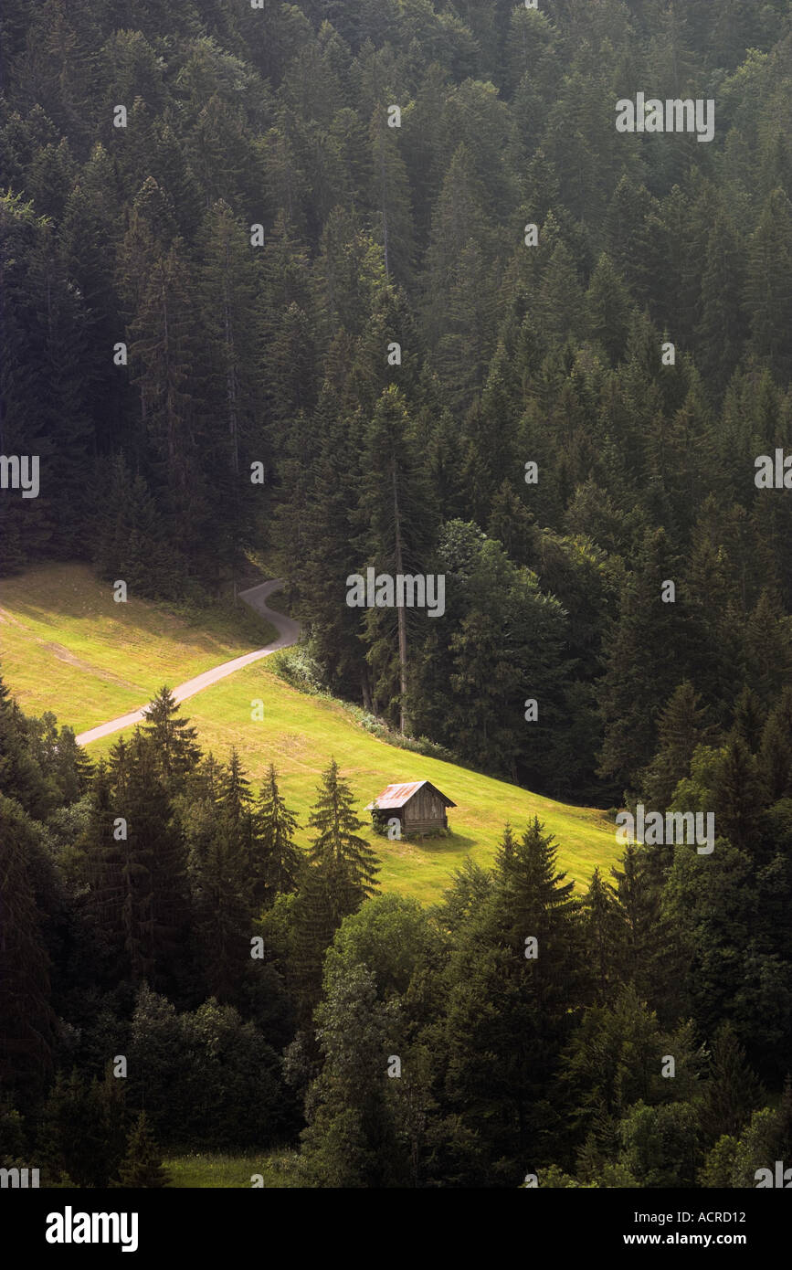 A traditional alpine barn on a hill Switzerland Stock Photo - Alamy