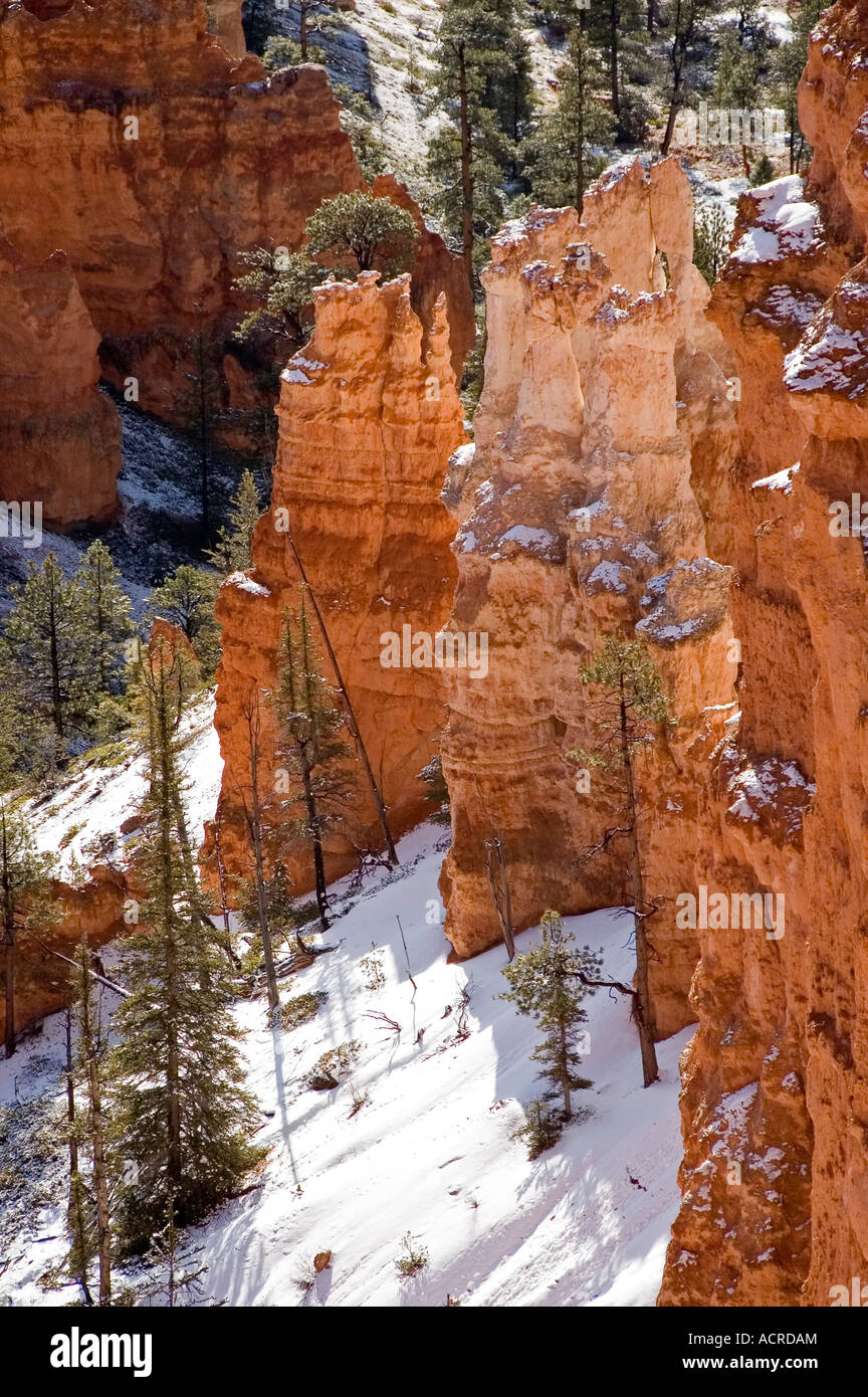 A picture illustrating some of the many of the features of Bryce Canyon ...