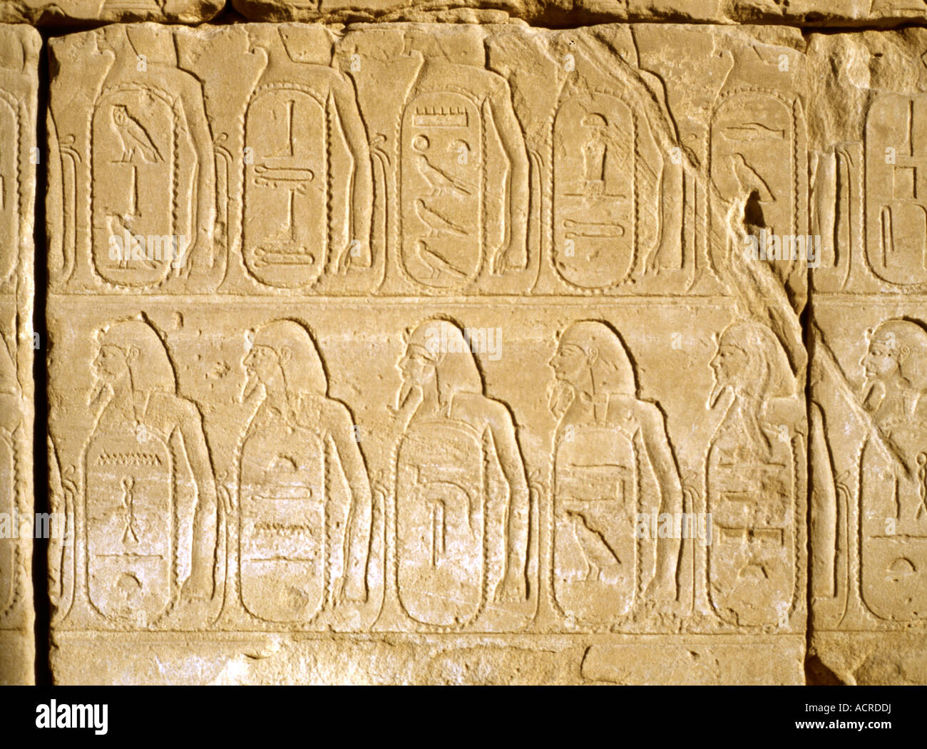 Relief plate hi-res stock photography and images - Alamy