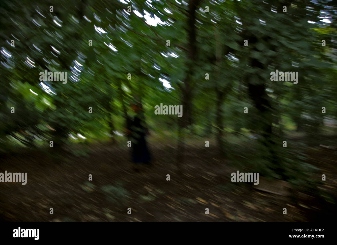 Scary blurry mysterious forest hi-res stock photography and images - Alamy