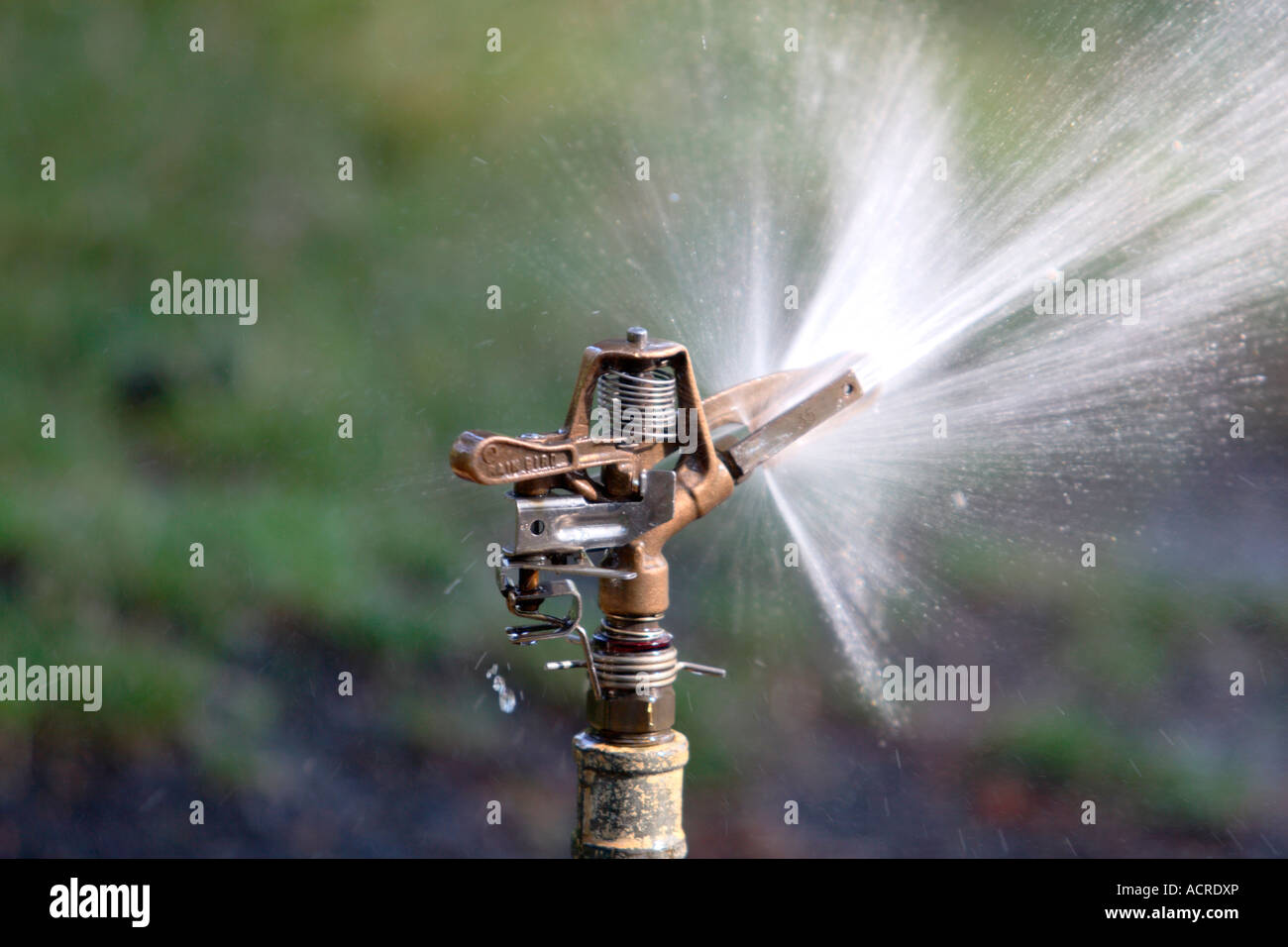 sprinkler watering Stock Photo - Alamy