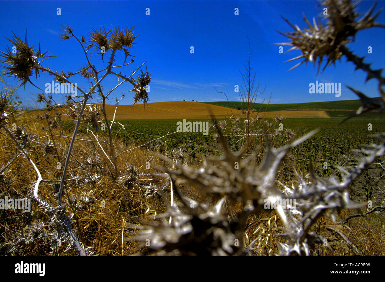 Briar France High Resolution Stock Photography and Images - Alamy