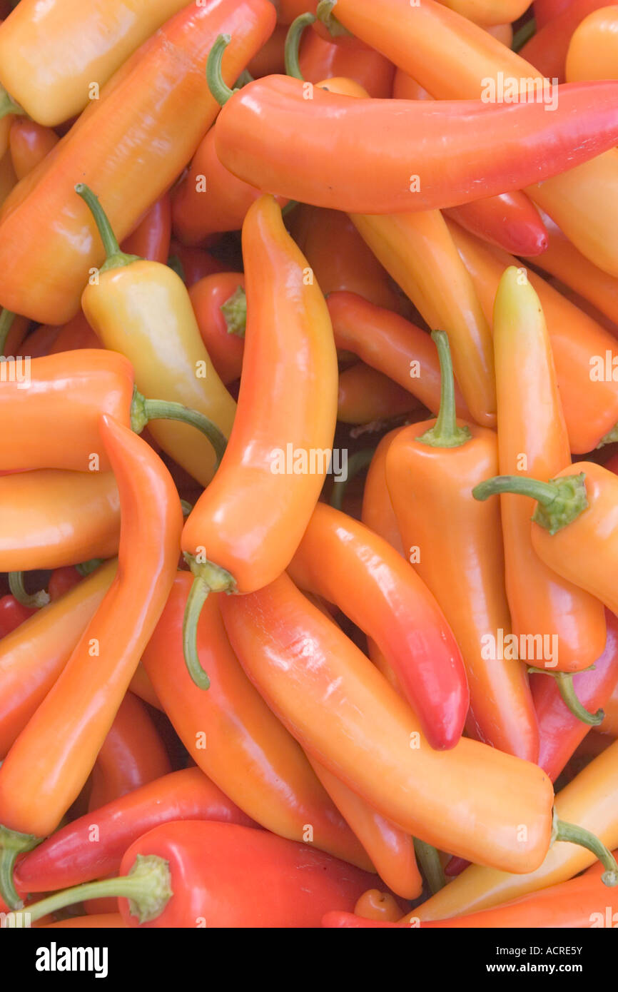 Fresh orange peppers Stock Photo - Alamy