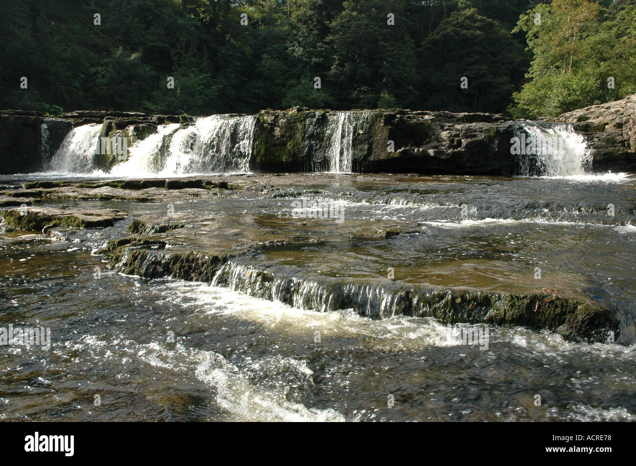 Aysgarth Falls Aysgarth Yorkshire England Stock Photo - Alamy