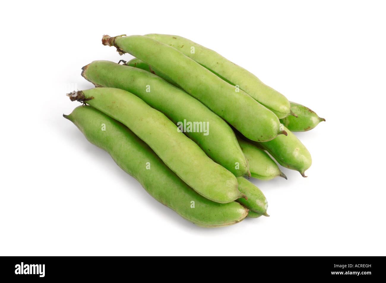 Broad, or Fava, Beans in pods Stock Photo - Alamy
