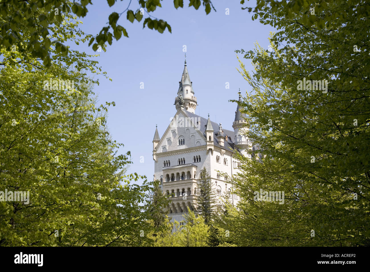 Schloss Neuschwanstein Castle, Bavaria, Germany Stock Photo - Alamy