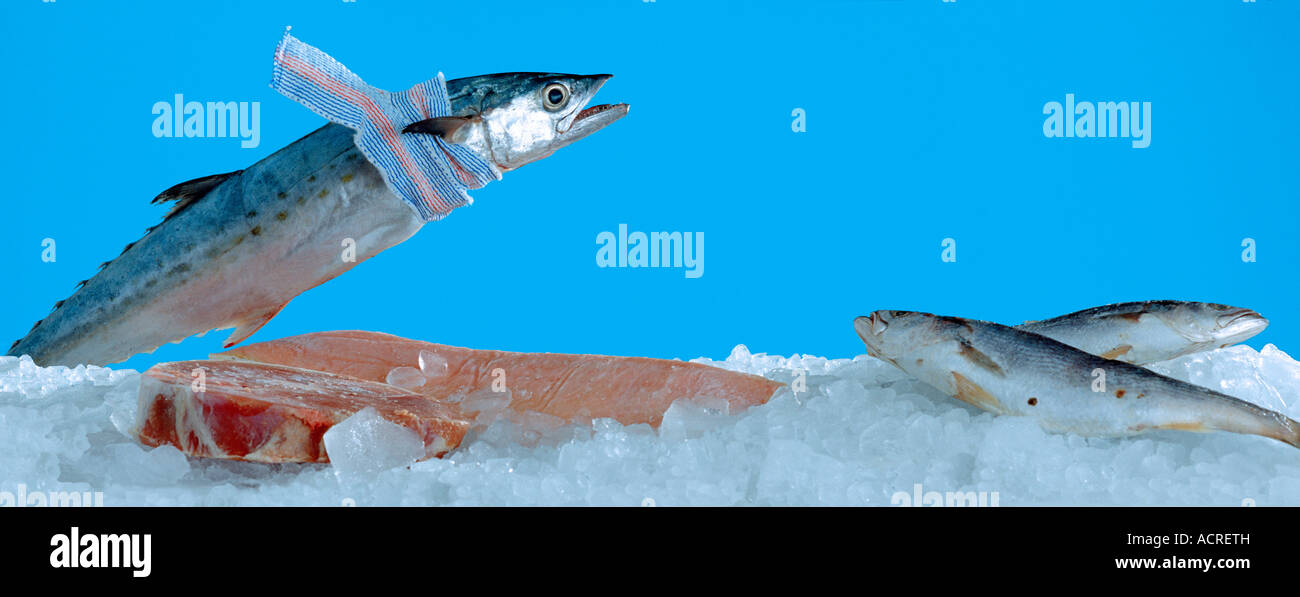 Frozen meat and fish Stock Photo - Alamy