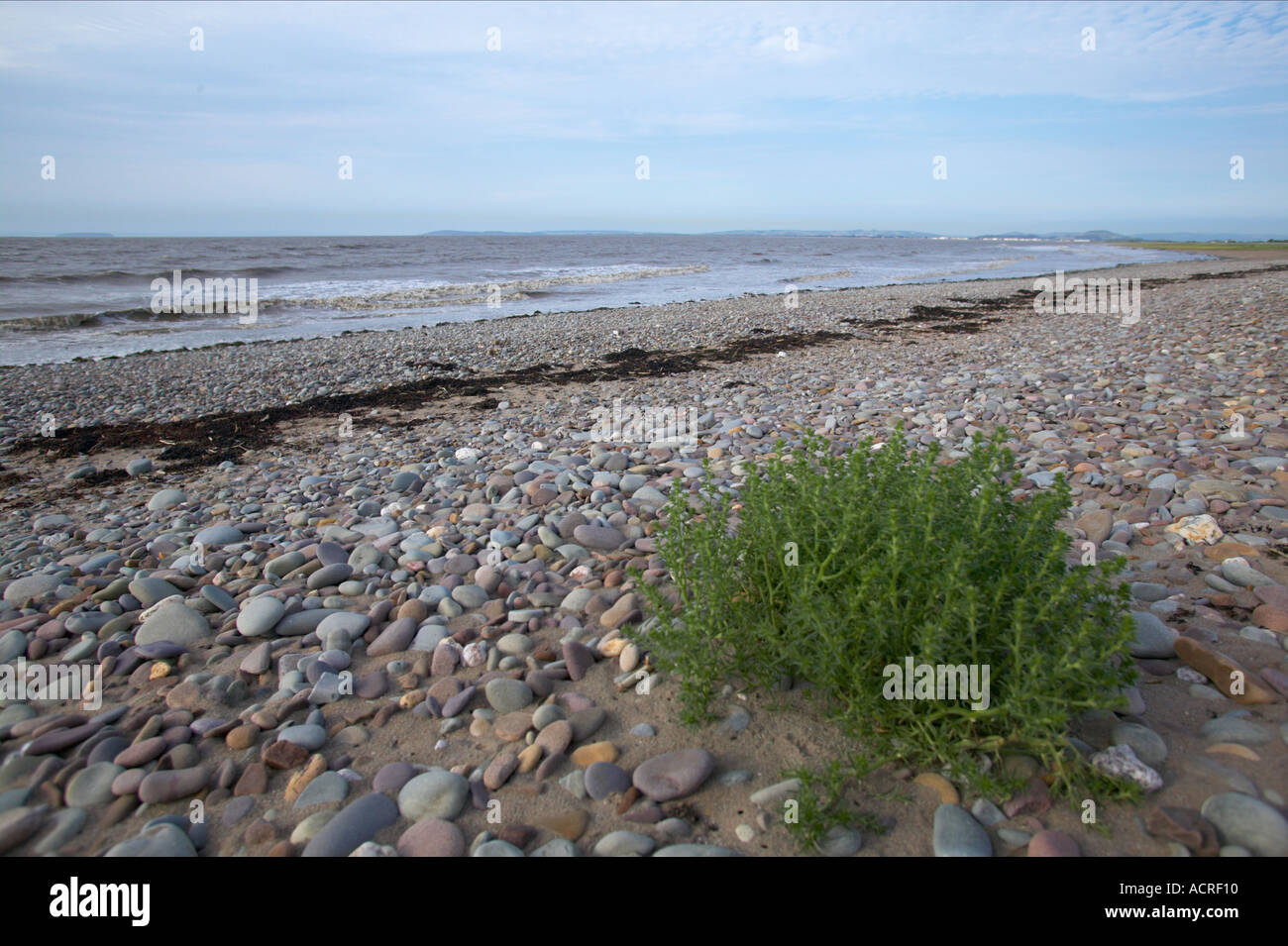 Bridgewater bay nature reserve hi-res stock photography and images - Alamy