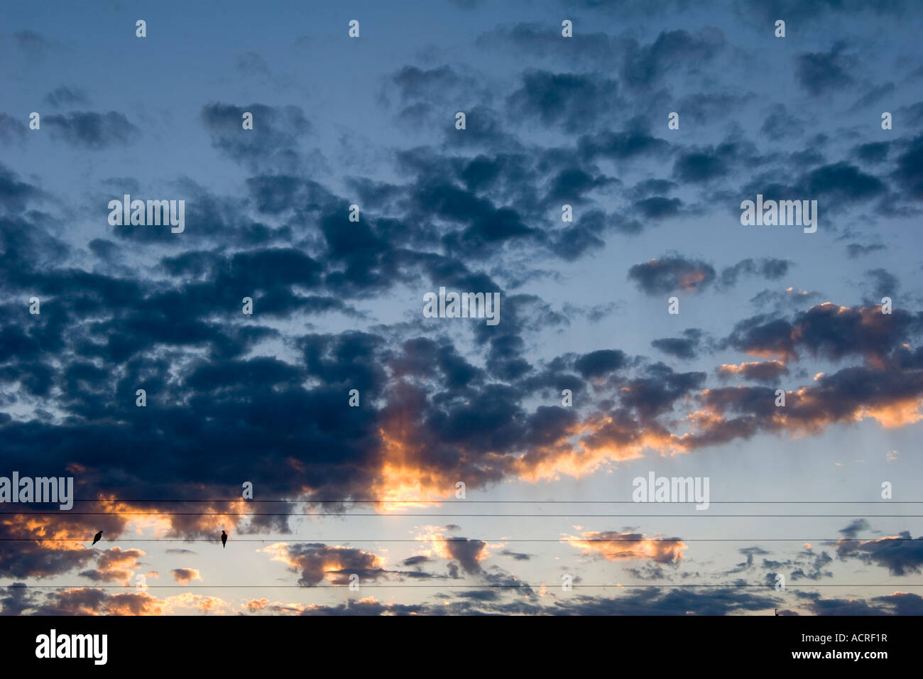 Birds sit on a telephone wire below a sunset in Kearney, Nebraska, USA ...