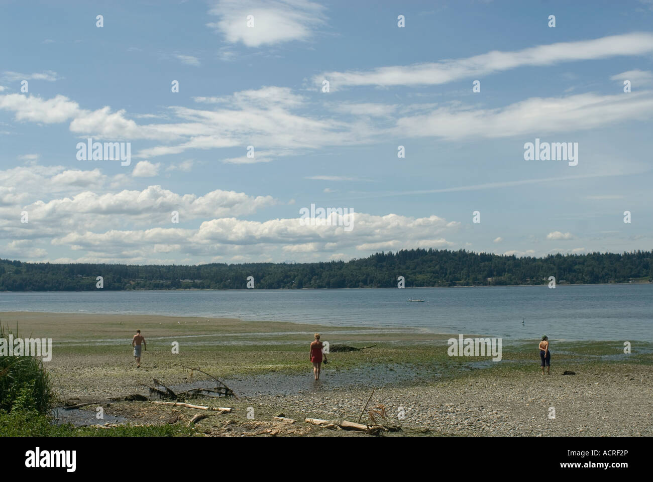 3 people walk in seperate directions Stock Photo - Alamy