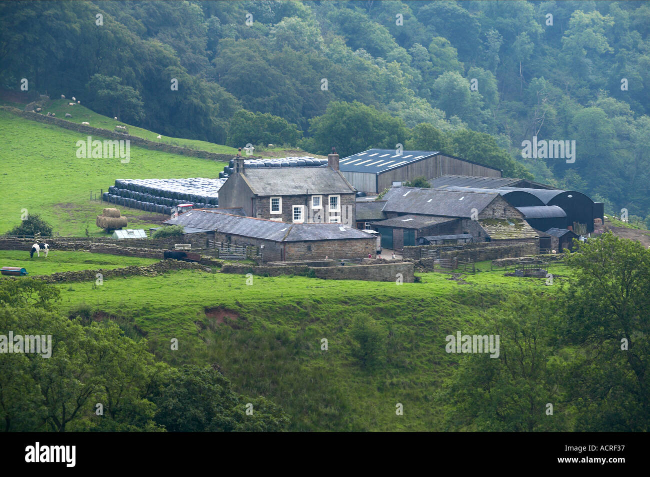 Farm in Cumbria Stock Photo - Alamy