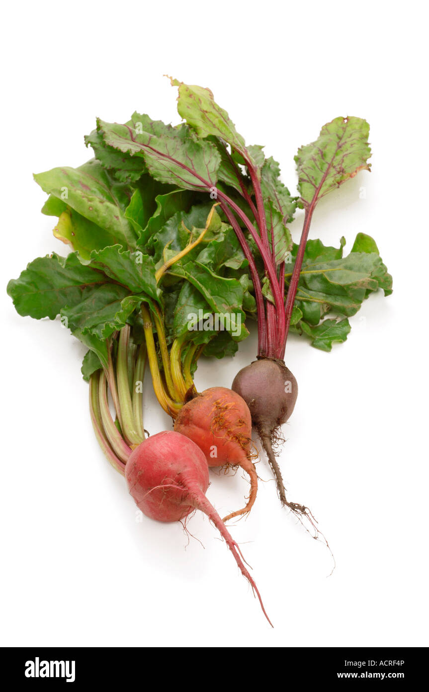 Golden, Striped and Purple Beetroot Stock Photo - Alamy