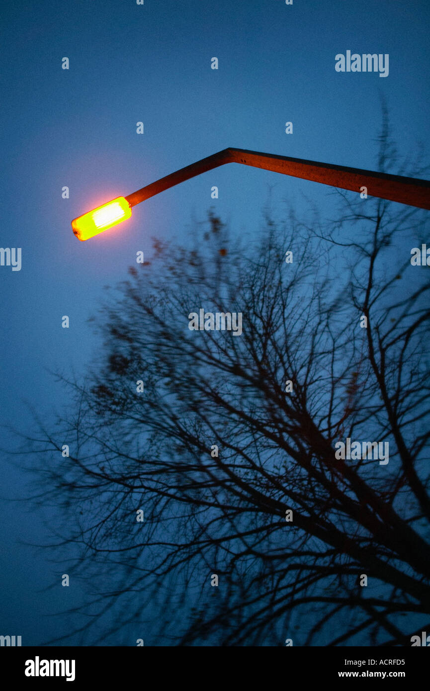 BLURRED LAMP POST AND TREE AGAINST NIGHT SKY Stock Photo - Alamy