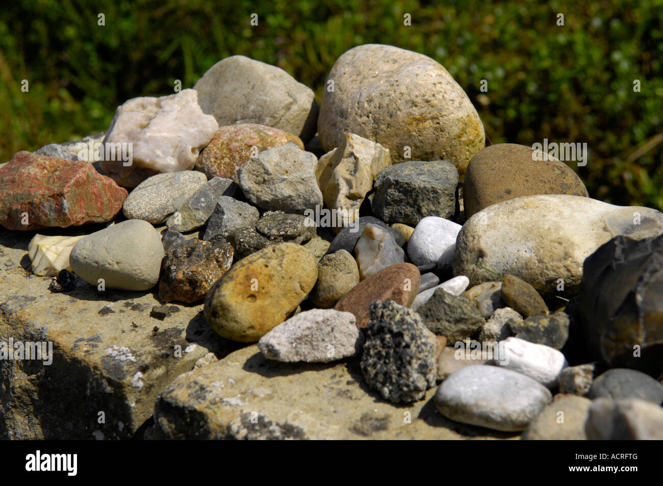 tribute stones mass grave burial bergen belsen lower saxony germany ...