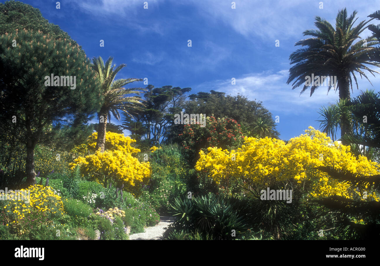 TRESCO GARDENS ISLES OF SCILLY Stock Photo - Alamy