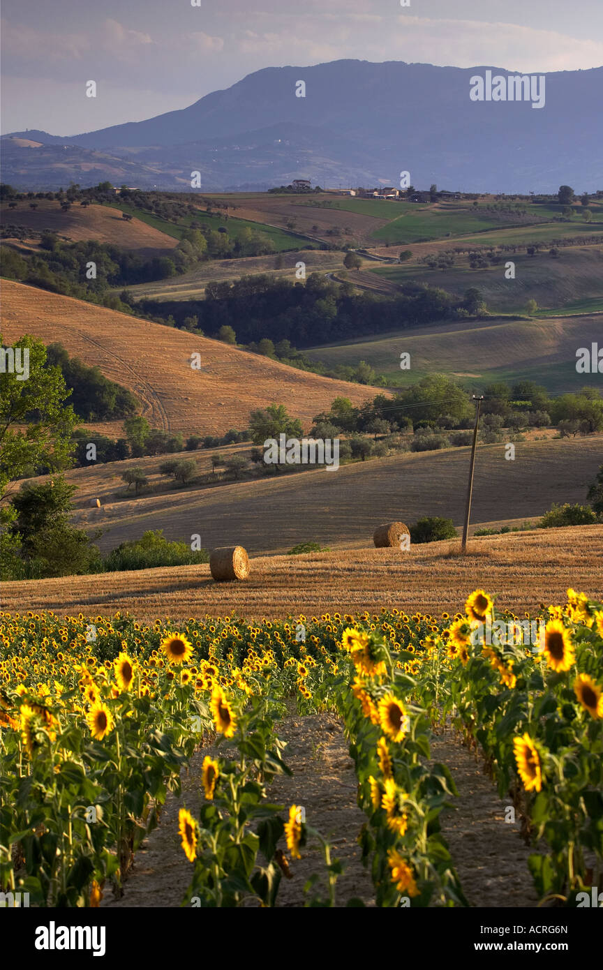 Farmland in Abruzzo, Italy Stock Photo - Alamy