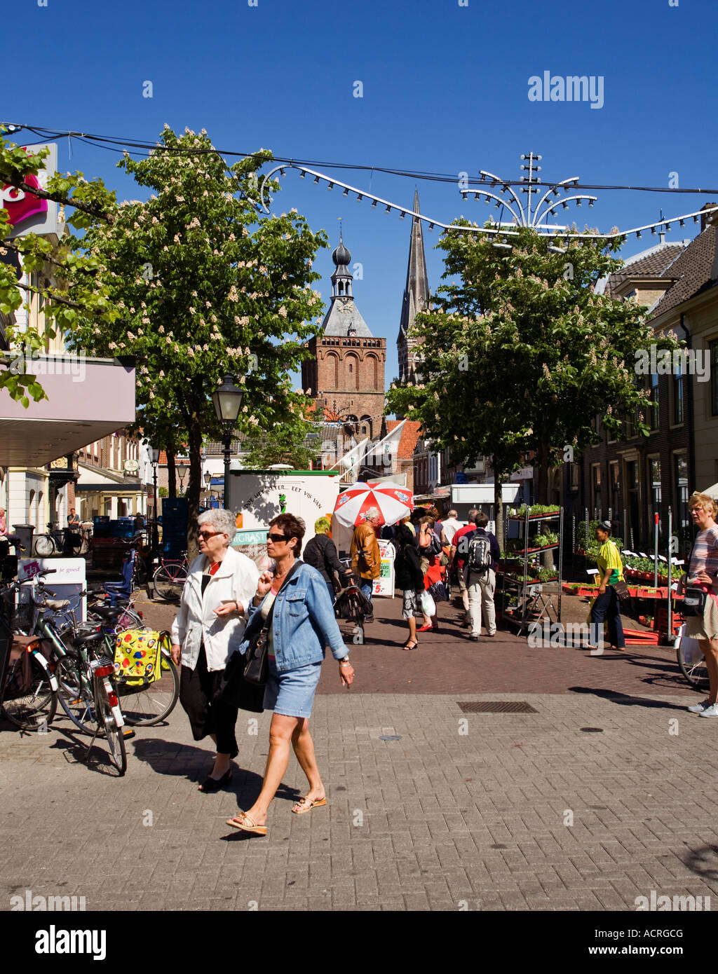 Main street on market day Culemborg Holland with the oude stadspoort binnenpoort in the ...