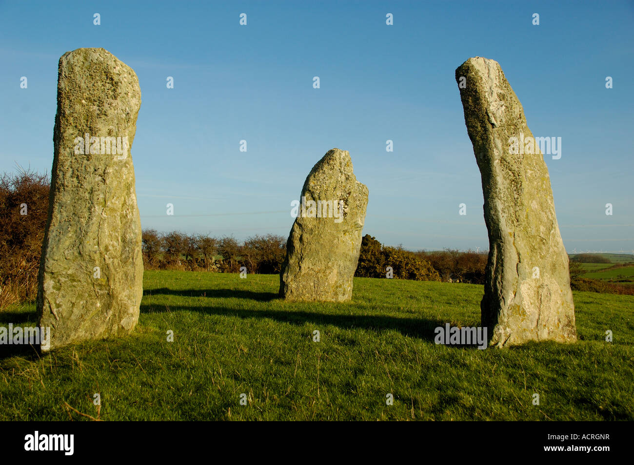 Mein hirion hi-res stock photography and images - Alamy