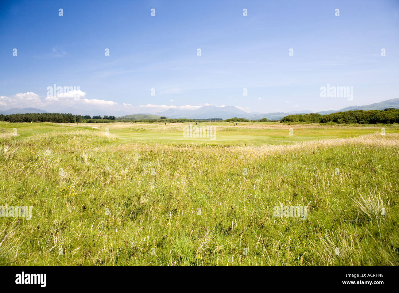 Harlech golf course hi-res stock photography and images - Alamy